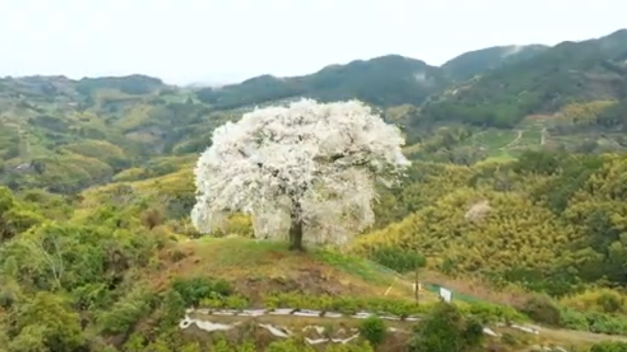 九州写真記者協会映像コンクール 撮影技術賞 受賞 | 株式会社RKB CINC （福岡）